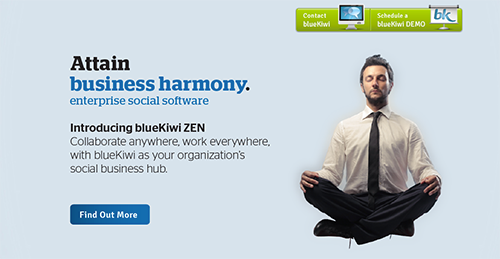 blueKiwi Reviews: Pricing & Software Features 2024 - Financesonline.com