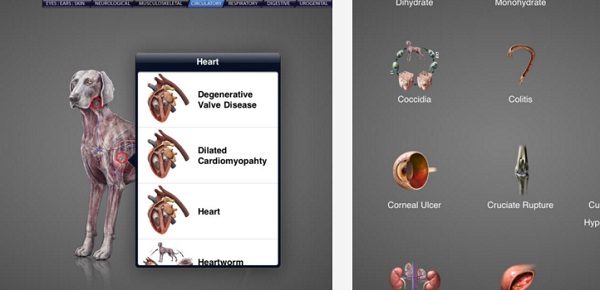 Top 10 Most Expensive Apps In The World in 2024: Stunning Prices of ...