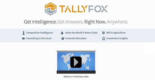 TallyFox Tallium Reviews: Pricing & Software Features 2024 - Financesonline.com