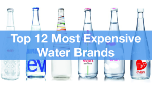 Top 12 Most Expensive Water Brands In The World in 2024: Beverly Hills ...