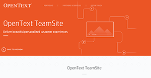 OpenText TeamSite Reviews: Pricing & Software Features 2024 ...