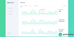 How Much Does Grammarly Cost in 2024? Is Going Premium Worth It ...