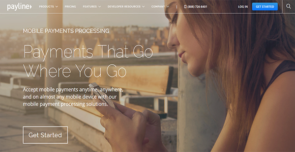 Payline Data Reviews: Pricing & Software Features 2024 - Financesonline.com