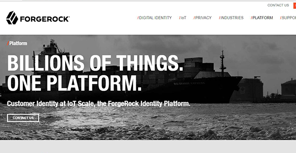 ForgeRock Identity Platform Reviews: Pricing & Software Features 2024 ...