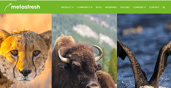 metasfresh Reviews: Pricing & Software Features 2024 - Financesonline.com