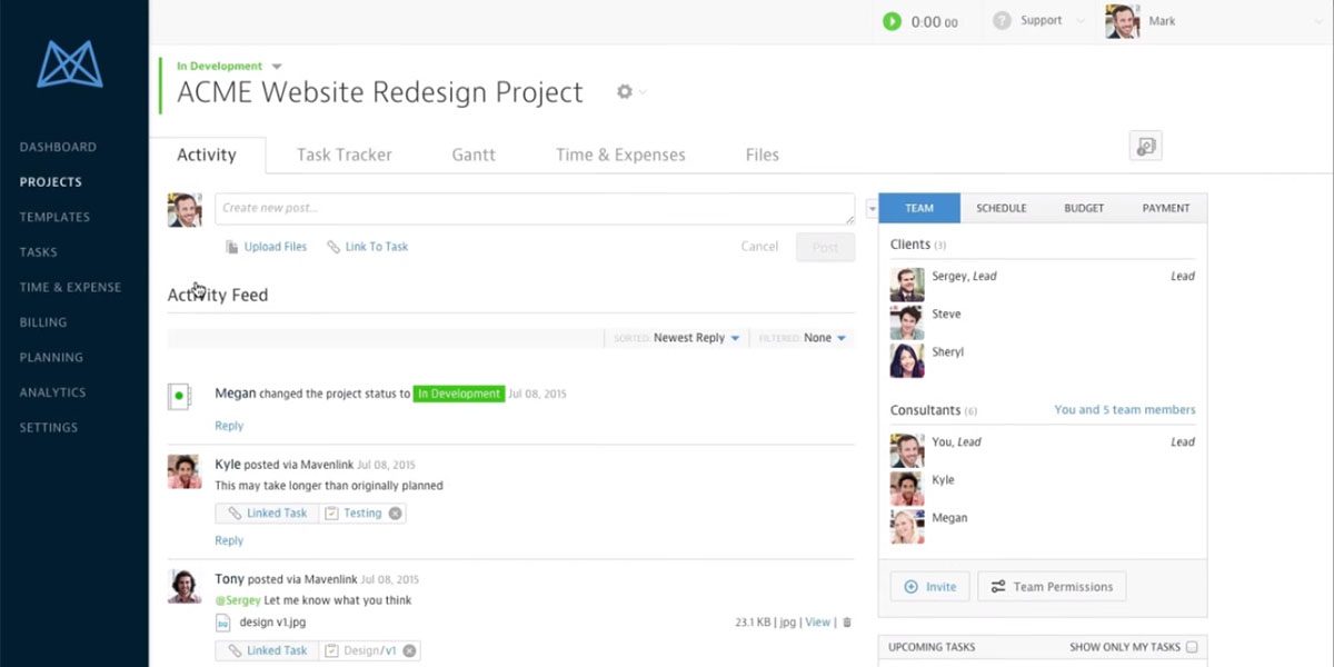 Top 10 Alternatives to Mavenlink: Analysis of Leading Professional ...