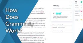 How Does Grammarly Work? A Comprehensive Guide for 2024 ...
