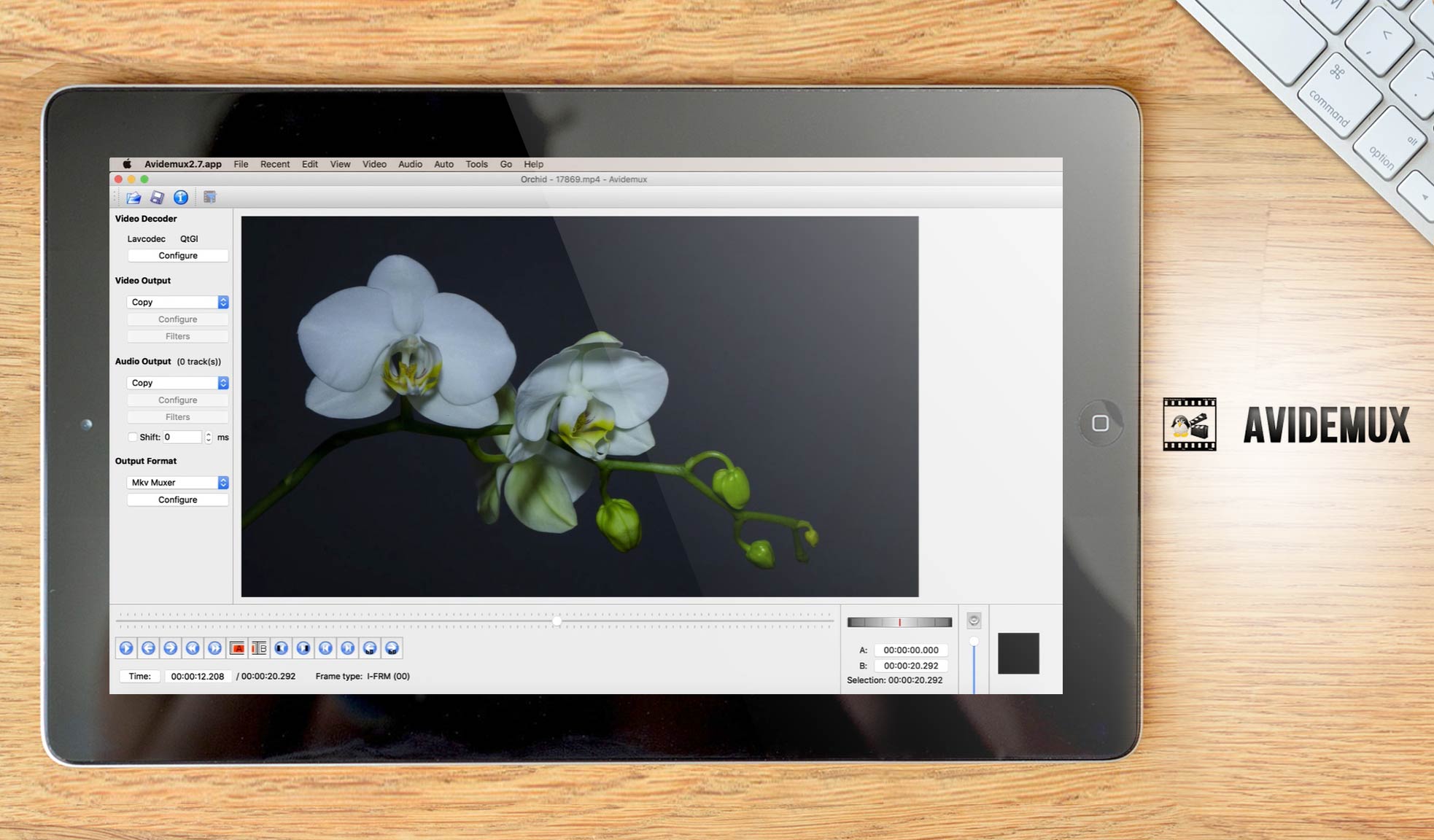 15 Best Free Video Editor Tools for Beginners in 2024 - Financesonline.com