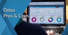 Pros & Cons of Odoo: Analysis of a Leading ERP Software in 2024 ...