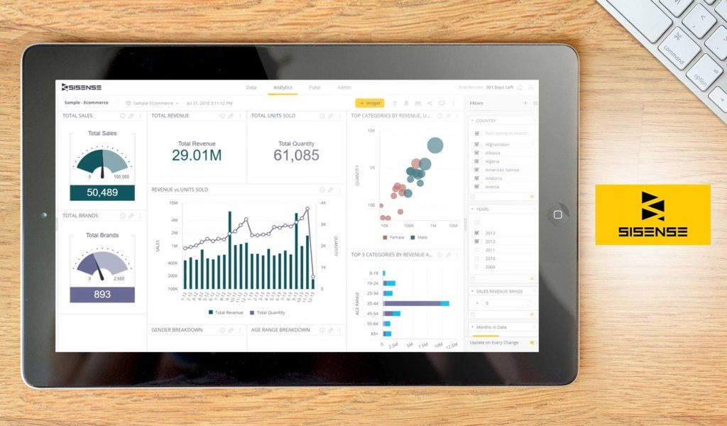 What Is the Purpose of Business Intelligence in a Business in 2024 ...