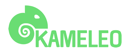 Kameleo Reviews: Pricing & Software Features 2024 - Financesonline.com