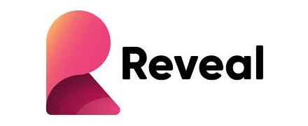 Reveal Reviews: Pricing & Software Features 2024 - Financesonline.com
