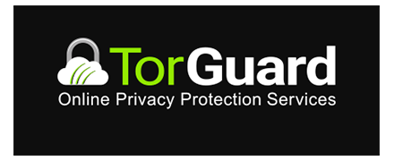 TorGuard Reviews: Pricing & Software Features 2024 - Financesonline.com
