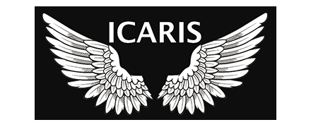 ICARIS Reviews: Pricing & Software Features 2024 - Financesonline.com