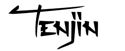 Tenjin Reviews: Pricing & Software Features 2024 - Financesonline.com