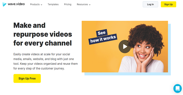 Wave.video Reviews: Pricing & Software Features 2024 - Financesonline.com