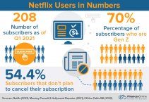 60 Compelling Netflix Statistics for 2021: User Demographics & Revenue ...