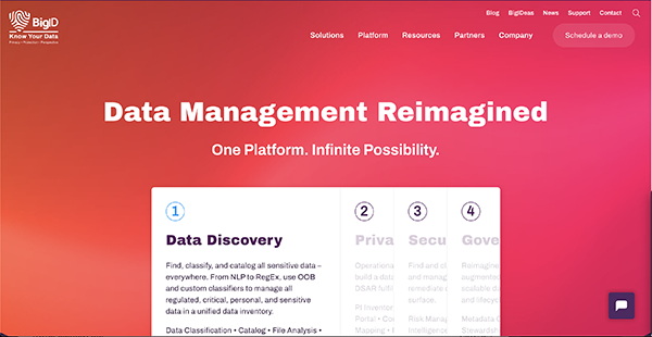 BigID Reviews: Pricing & Software Features 2024 - Financesonline.com