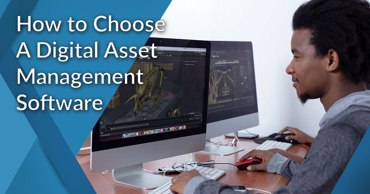 How to Choose A Digital Asset Management (DAM) Software ...