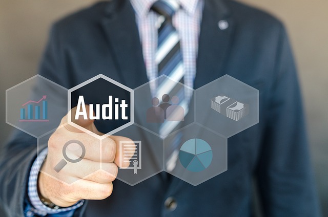 How To Audit Expenses Effectively With Powerful Tools - Financesonline.com